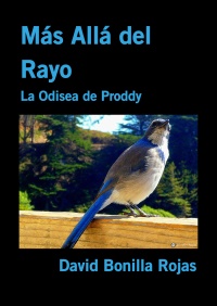 Más Allá del Rayo - David Bonilla Rojas | Autores Editores